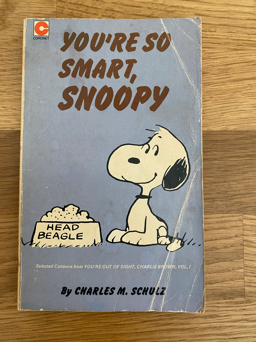 You're so smart, Snoopy Book – FISH4JUNK
